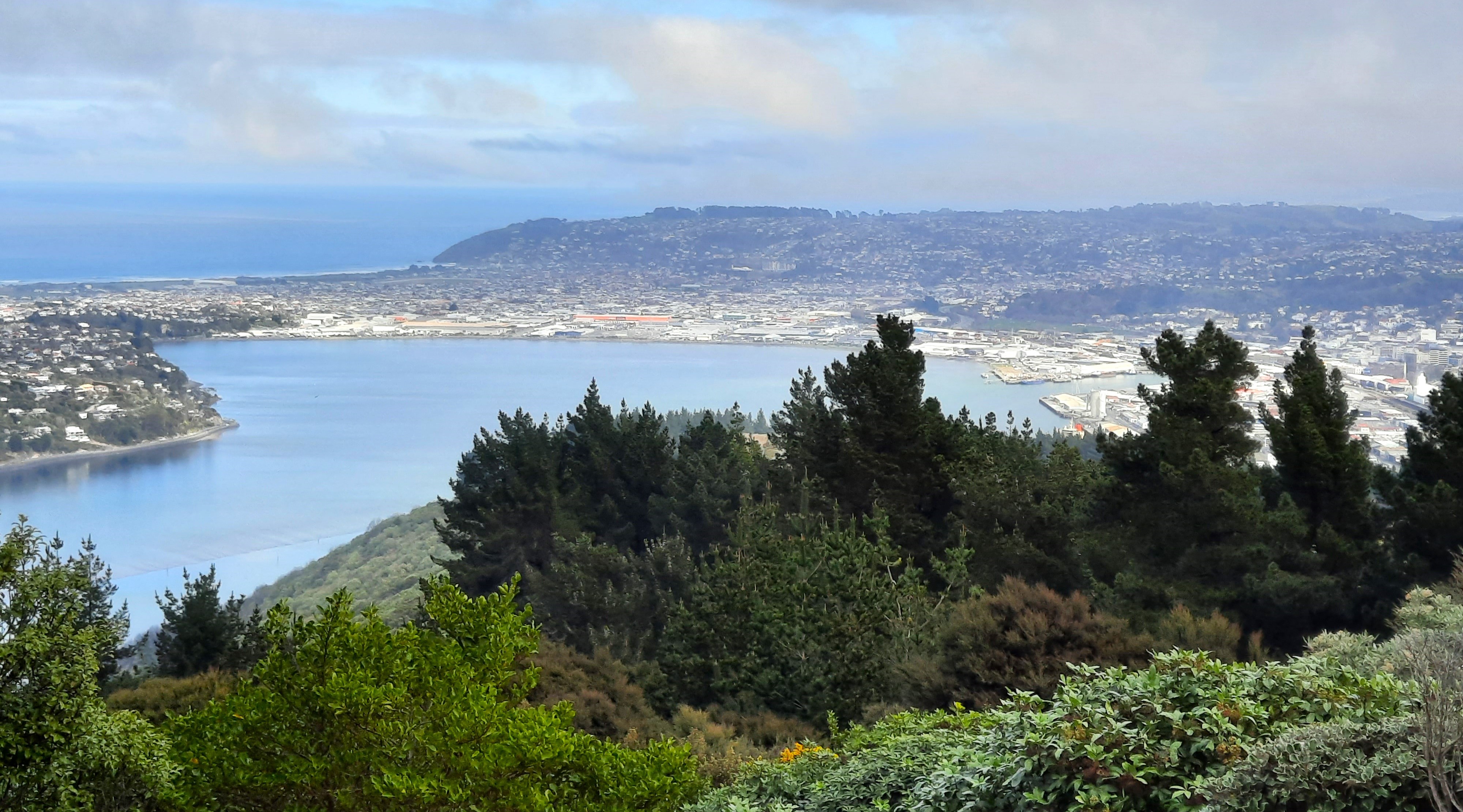 On Location: Dunedin & Waitati – Rose Pascoe