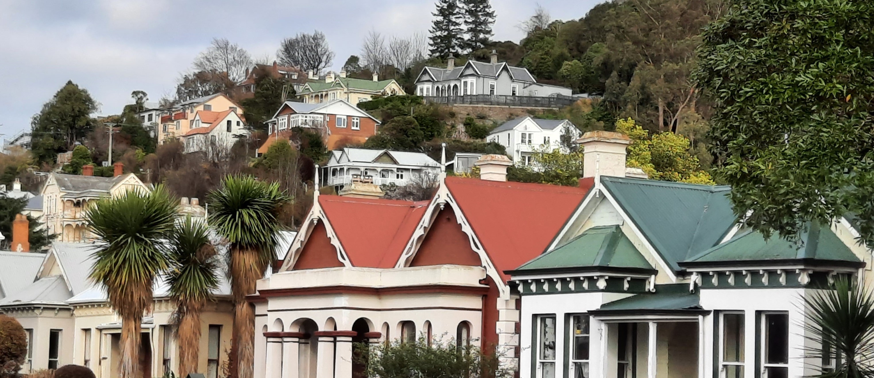 On Location: Dunedin & Waitati – Rose Pascoe