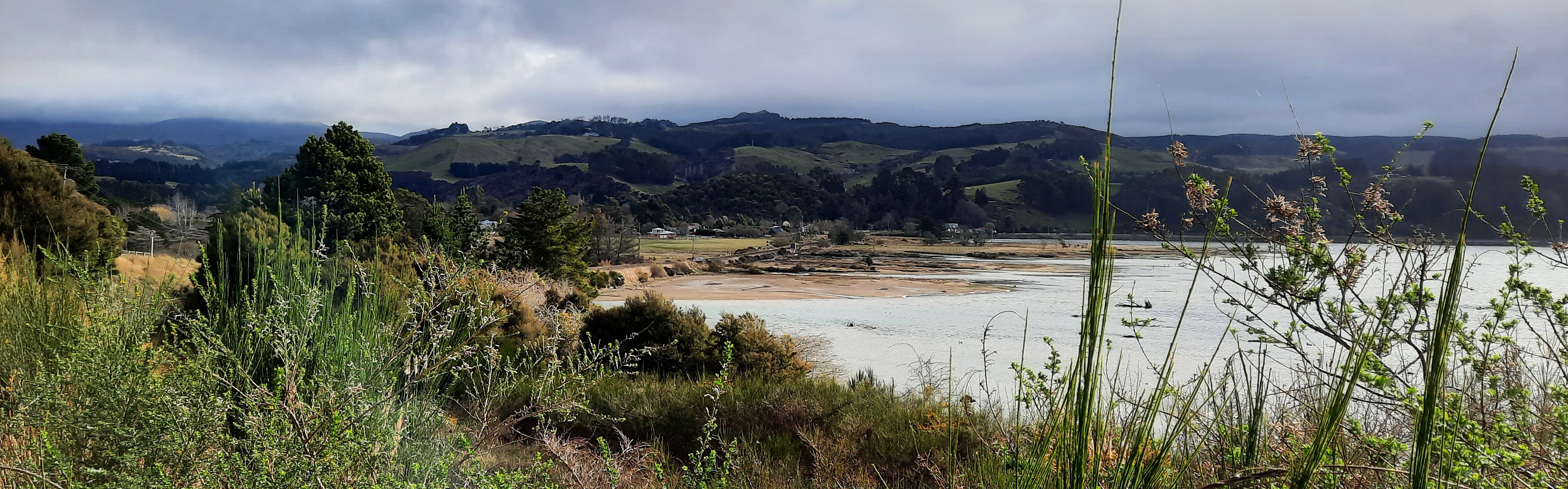 On Location: Dunedin & Waitati – Rose Pascoe