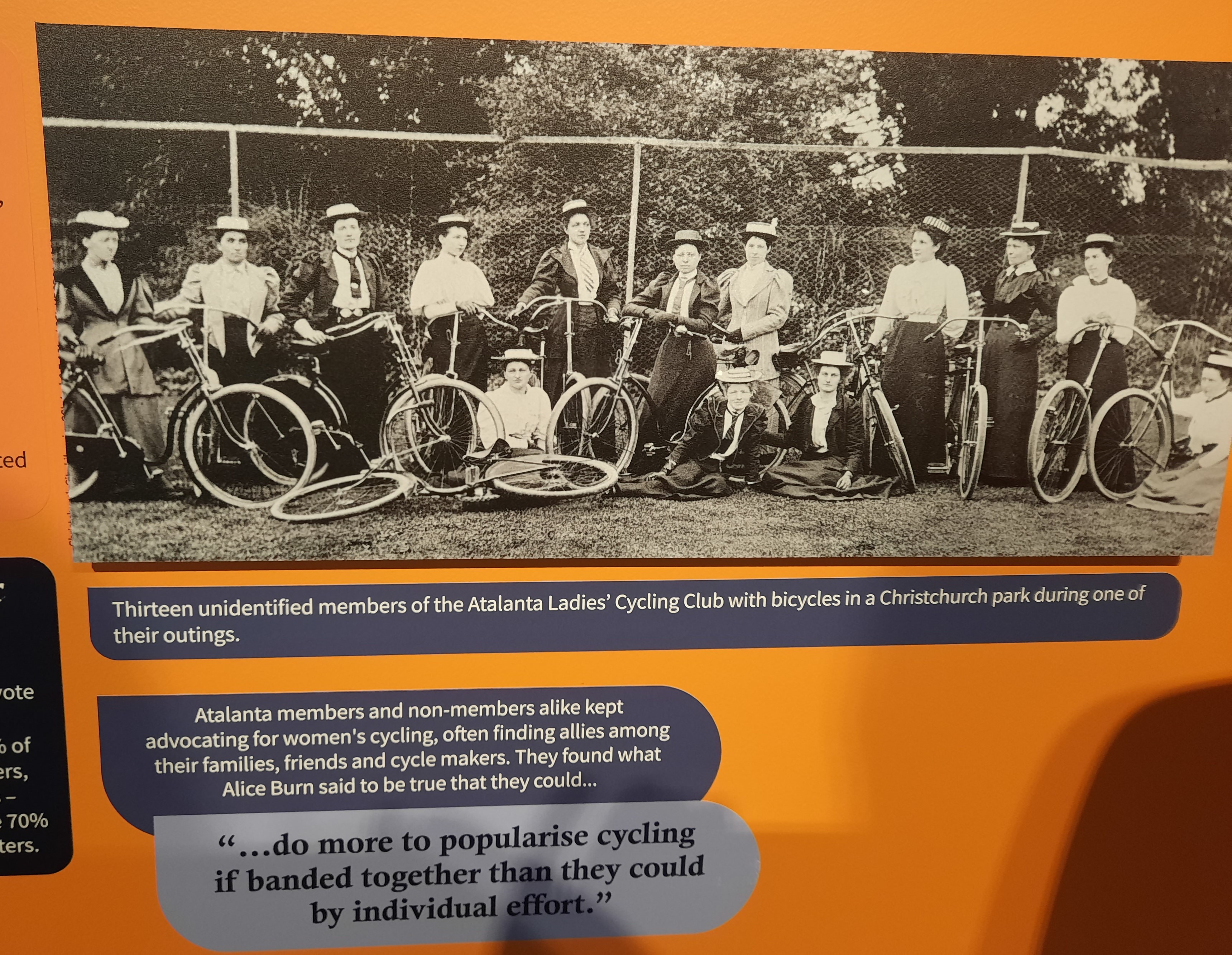 Empty Cradle – Rose Pascoe