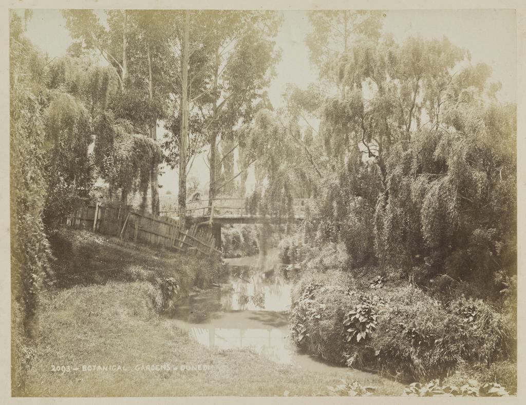 Empty Cradle – Rose Pascoe