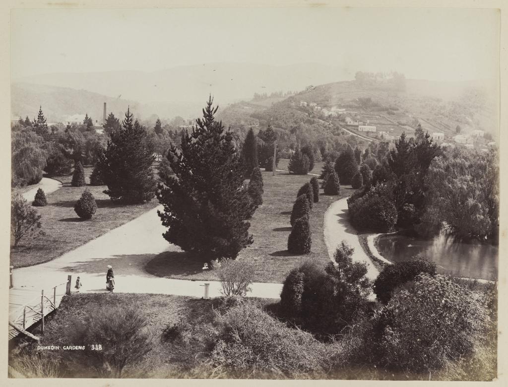 Empty Cradle – Rose Pascoe