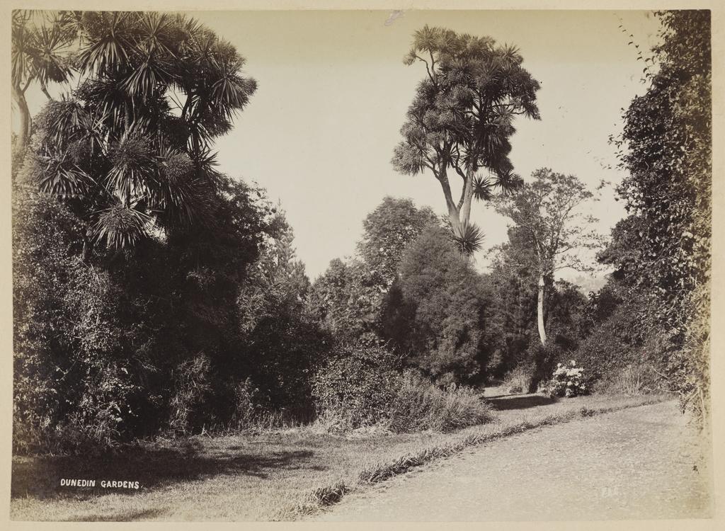 Empty Cradle – Rose Pascoe