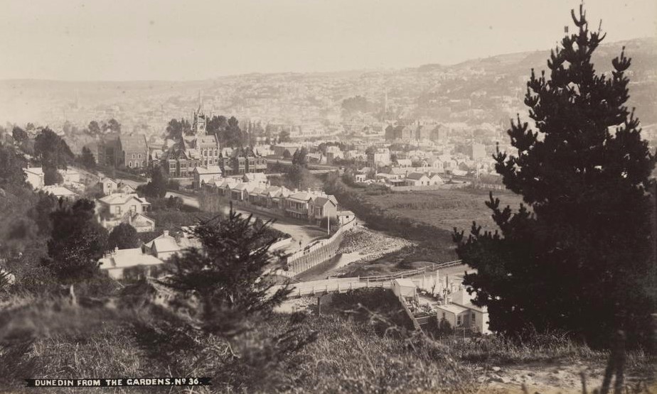 Empty Cradle – Rose Pascoe